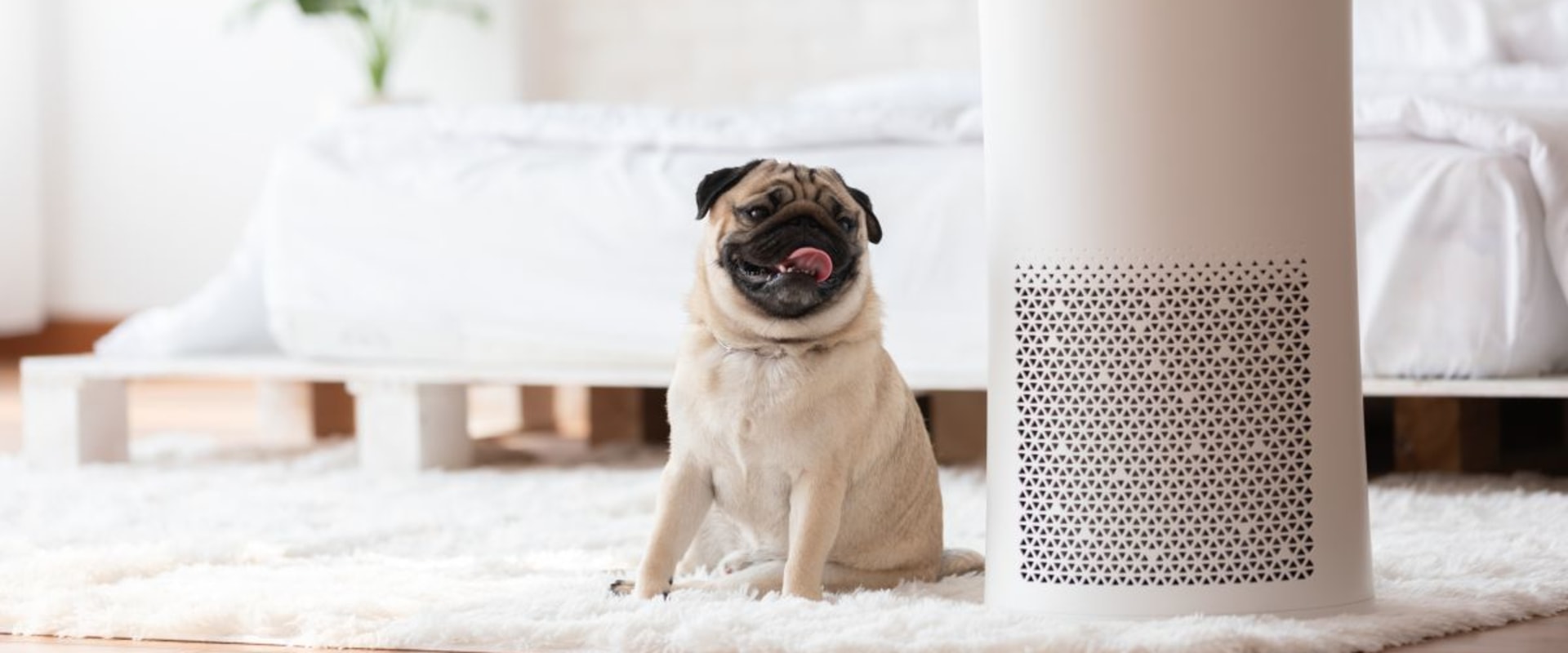 Best Air Filter for Improved Indoor Air