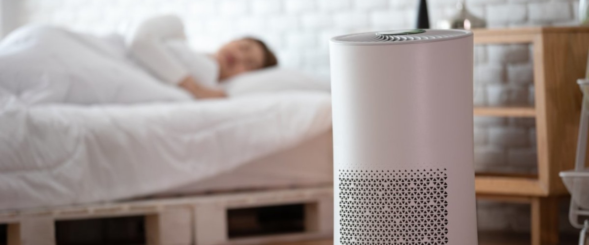 What is the Number 1 Air Purifier?